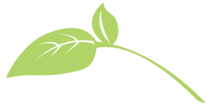 About Dr. Wharton - Wharton Medical Clinic for Weight Loss, Burlington ...