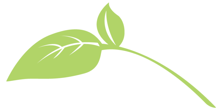 About Dr. Wharton - Wharton Medical Clinic for Weight Loss, Burlington ...