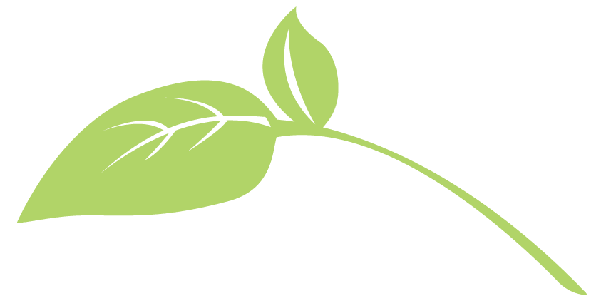 About Dr. Wharton - Wharton Medical Clinic for Weight Loss, Burlington ...